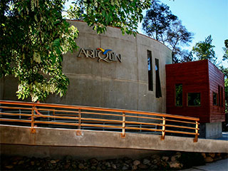 Artequin (Viña del Mar) - 800.cl