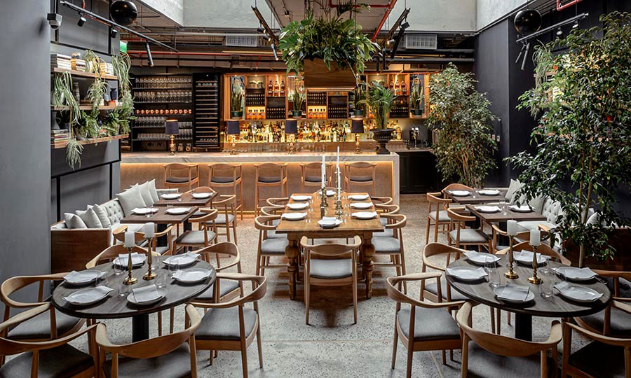 La Dicha - CV Galería - 800.cl