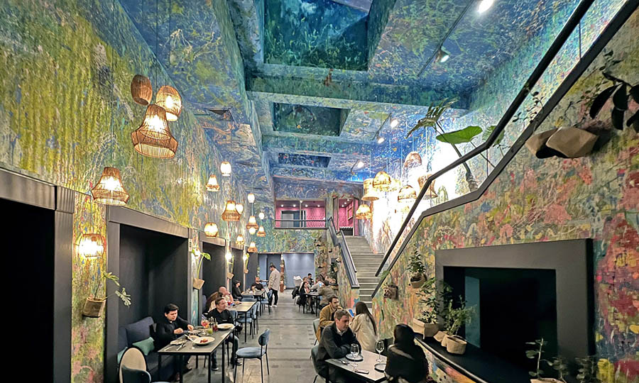 Mimosa Kunda Borde Río - 800.cl