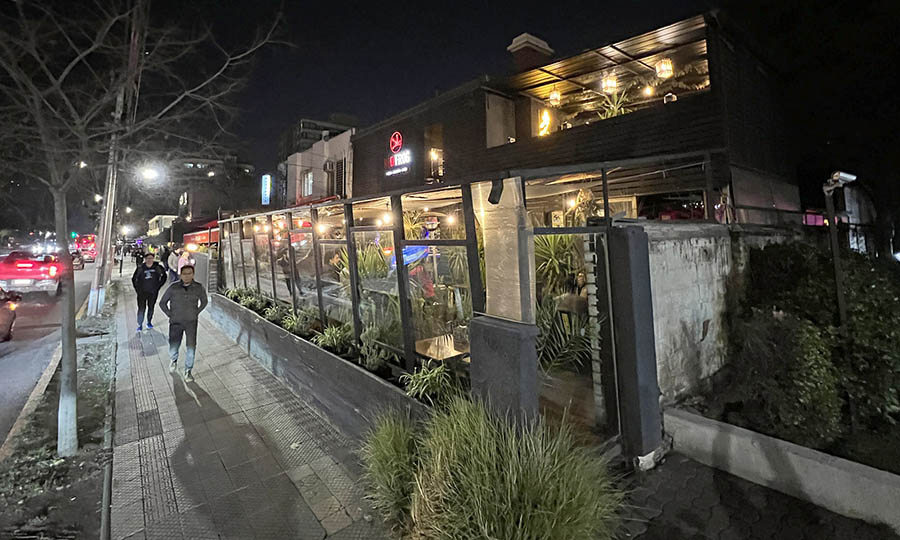 Red Frog Bar - 800.cl