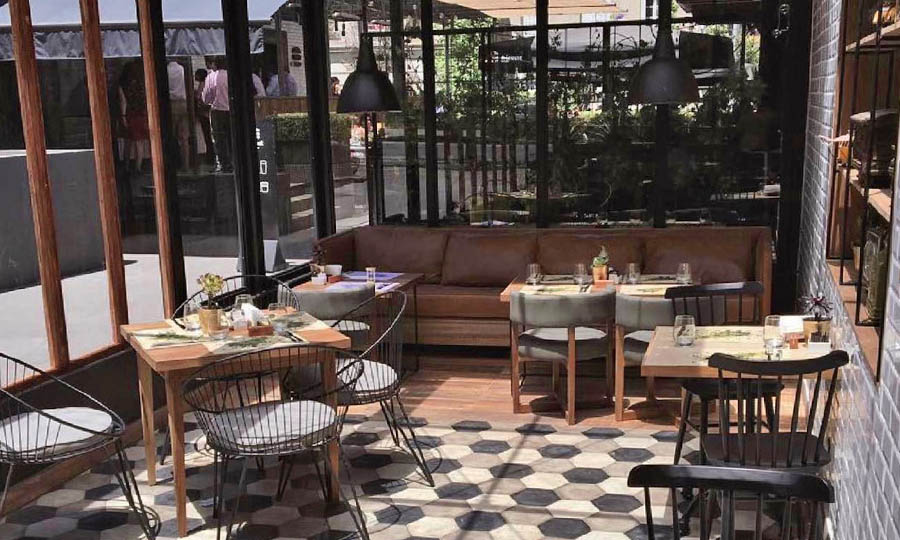 Tea Connection - Isidora - 800.cl