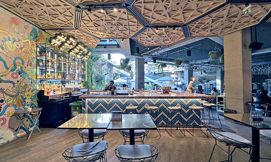 Malva Loca - CV Galería - 800.cl