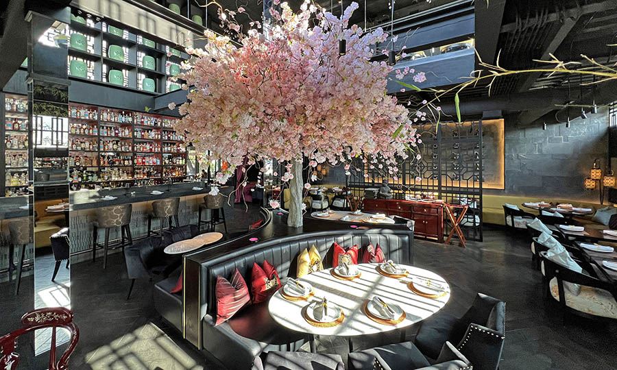 Shi-Nuá Santiago - 800.cl